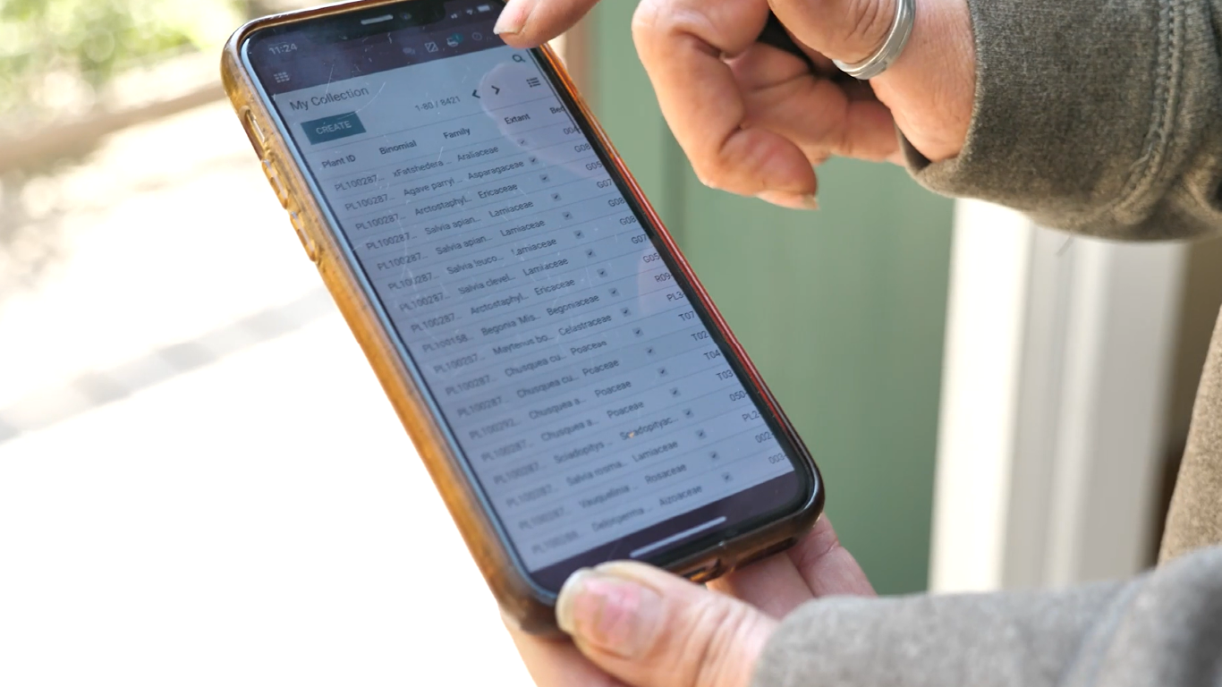 Recent Effective Date Field | Silverdale: The Odoo Consulting Company